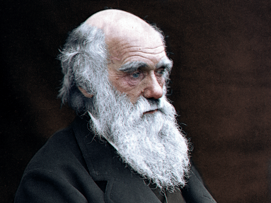 Judge rules against UCLA prof suspended after refusing lenient grading ...